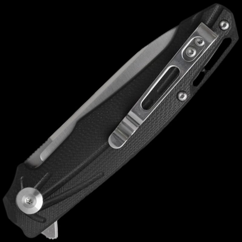 Ganzo Knife Firebird FH21-BK - Blades.co.uk